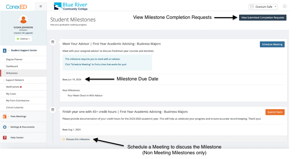Student Dashboard and Milestones the Student View